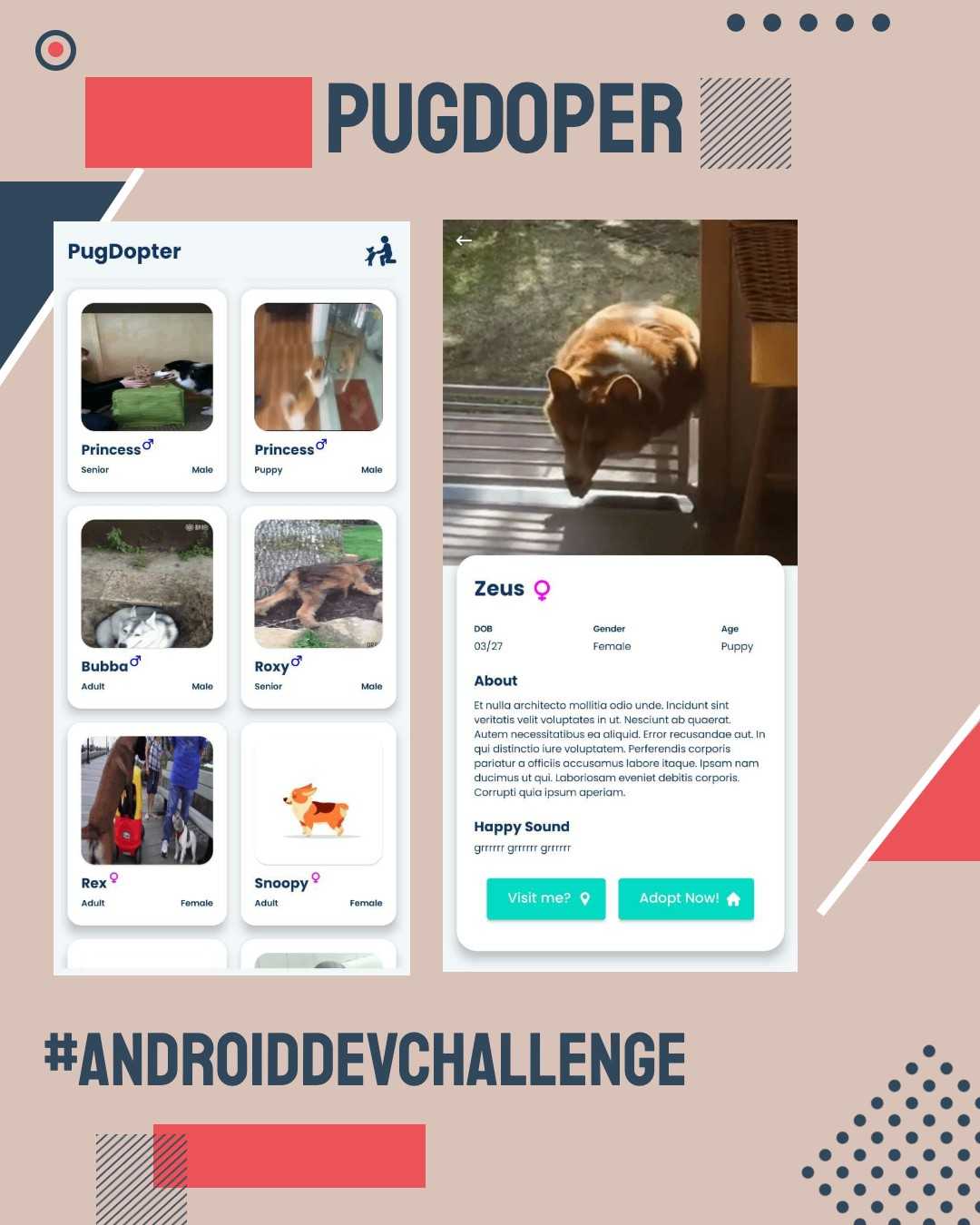 Android Dev Challengeの賞品のレゴが届いた | ntsk Android Dev Challengeの賞品のレゴが届いた | ntsk